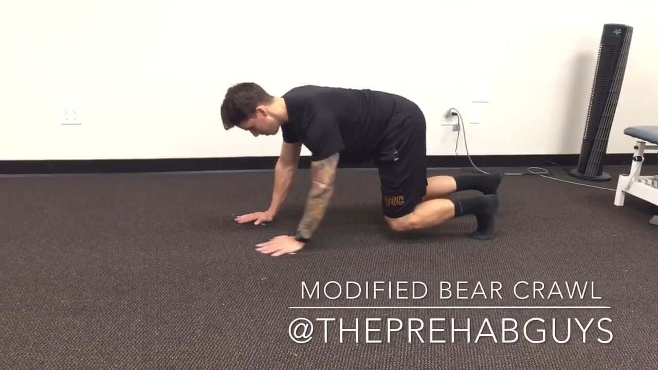 Bear Crawl Using Sliders - [P]rehab