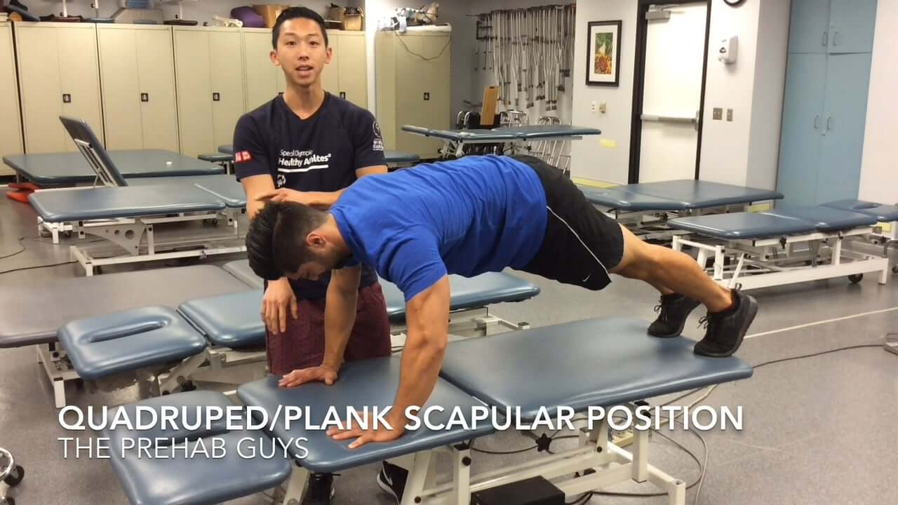 How to Properly Cue the Plank Position - [P]rehab