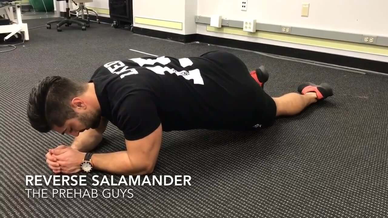 Reverse Salamander - [P]rehab