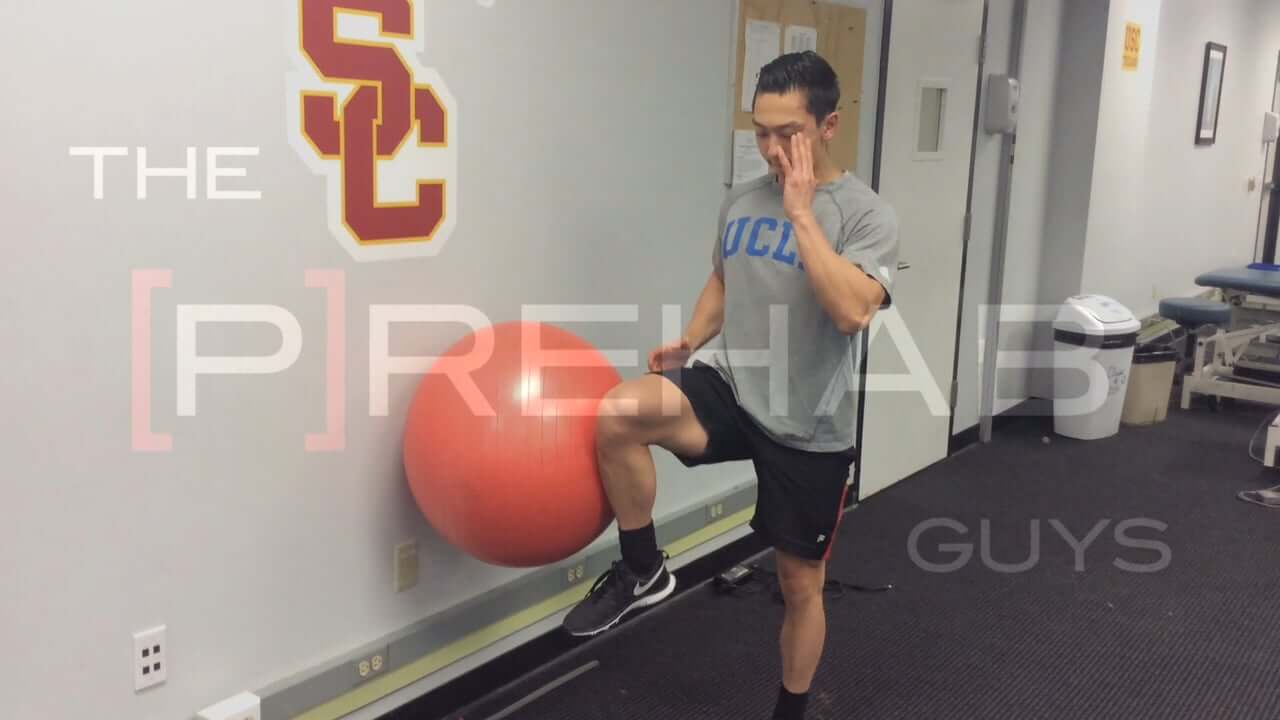 Runner's Stork With Swissball - [P]rehab