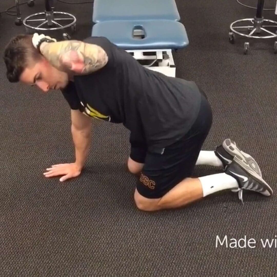 Quadruped Thoracic Extension And Rotation Mobilization - [P]rehab