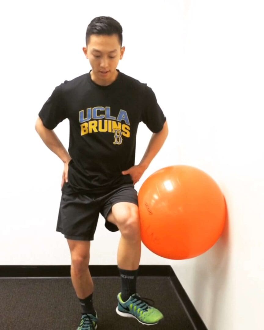 Swissball Storks - [P]rehab