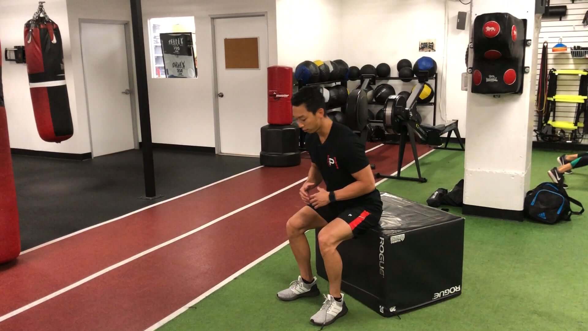 Sit to Stand - [P]rehab