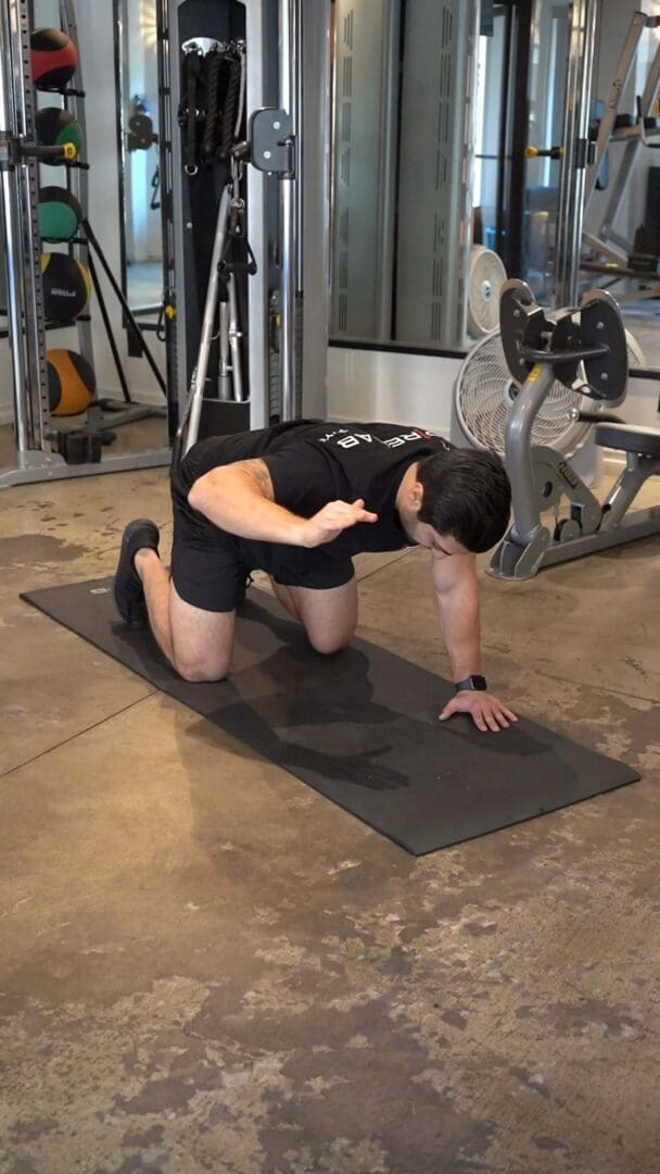 Quadruped Single Arm Overhead Press - [P]rehab