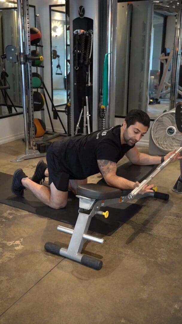Quadruped Dynamic Lat Mobilization With Stick - [P]rehab