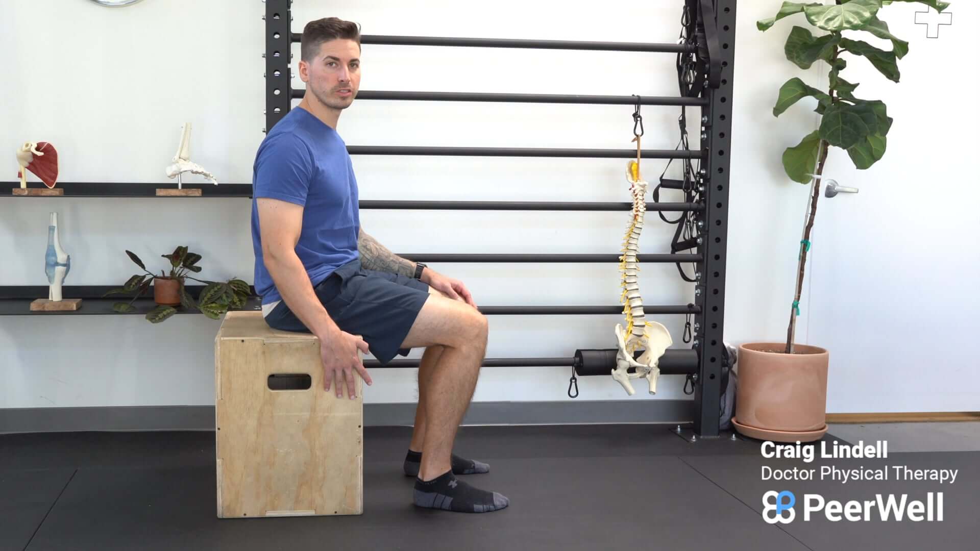 Seated Pelvic Tilts - [𝗣]𝗥𝗲𝗵𝗮𝗯