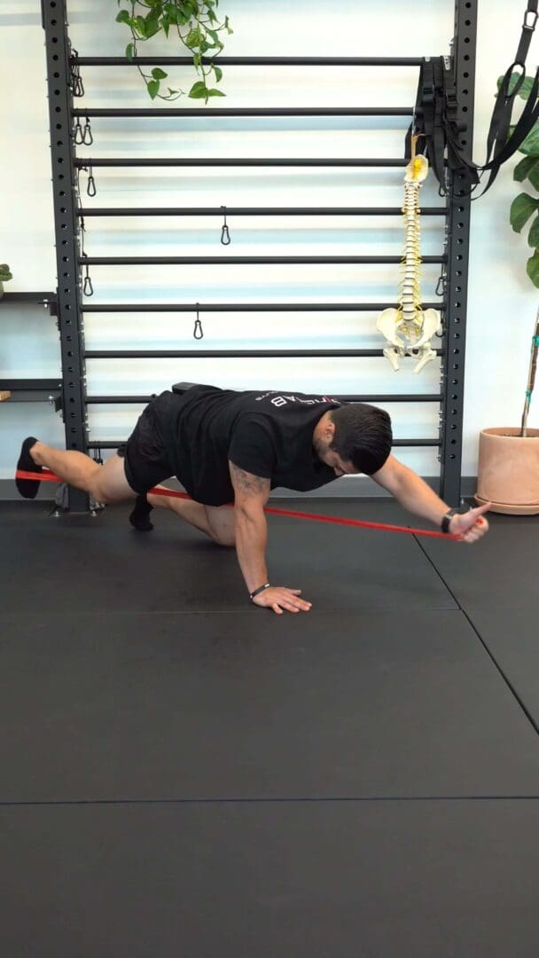 Bird Dog - Band - [P]rehab