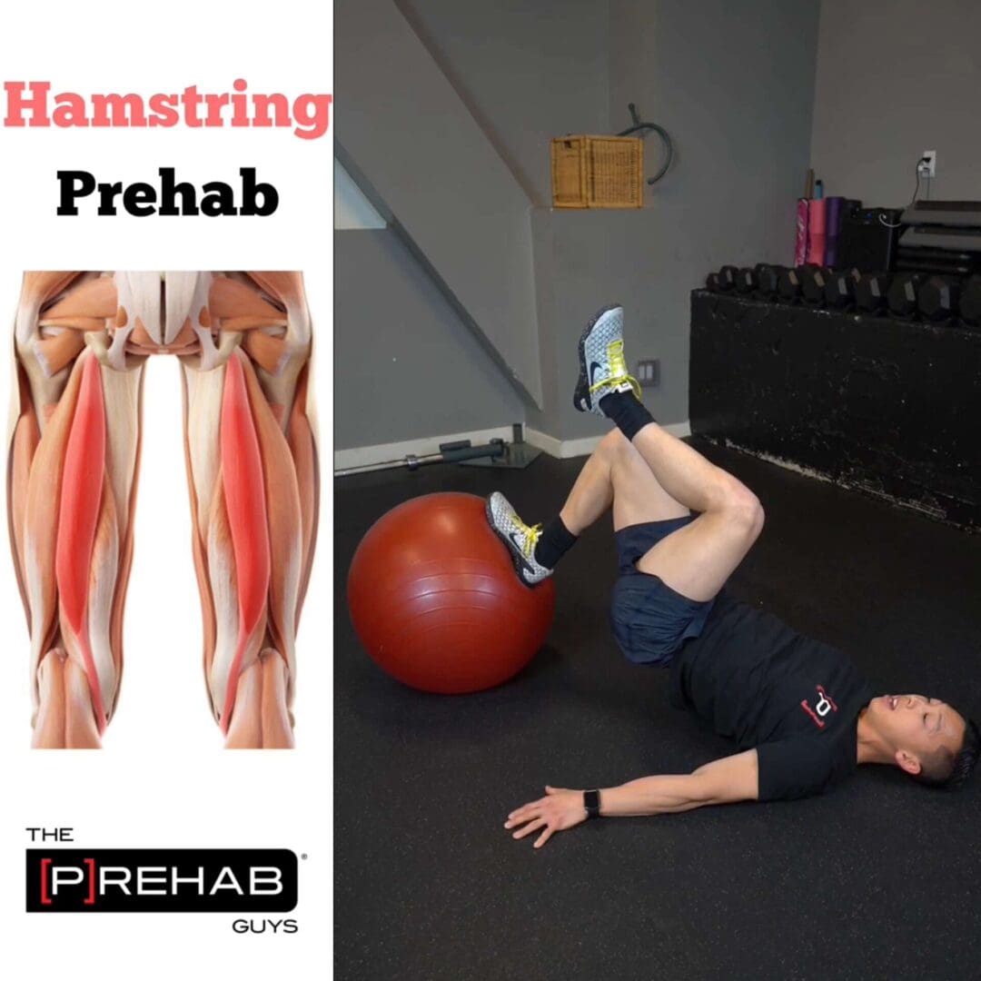 Hamstring Swissball Curl Prehab - [P]rehab