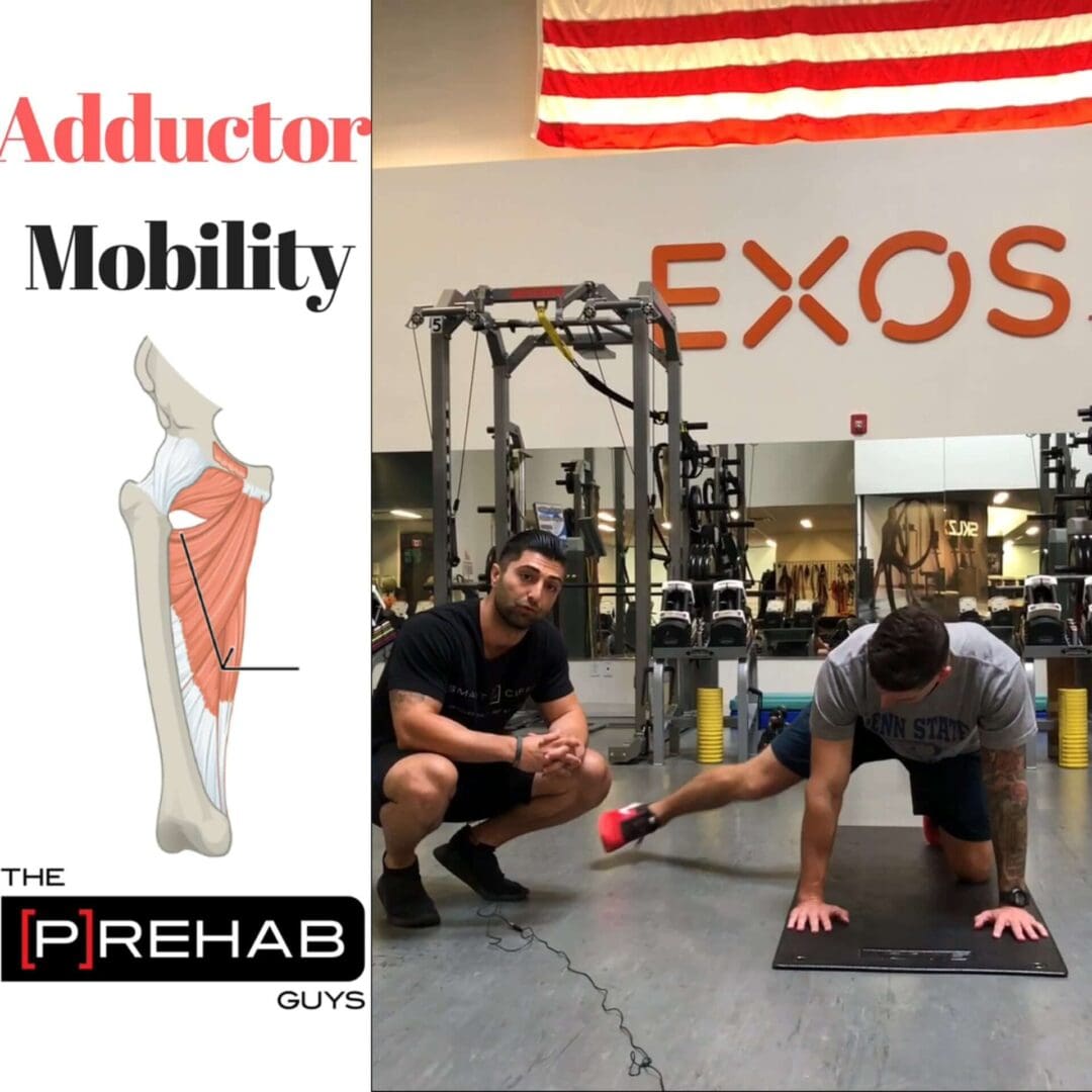 Adductor Mobility Flow In Quadruped - [𝗣]𝗥𝗲𝗵𝗮𝗯