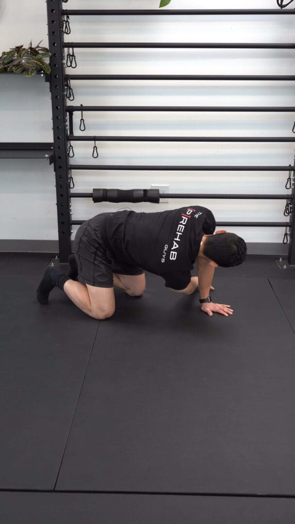 Quadruped Thread The Needle To Open Book - [P]rehab