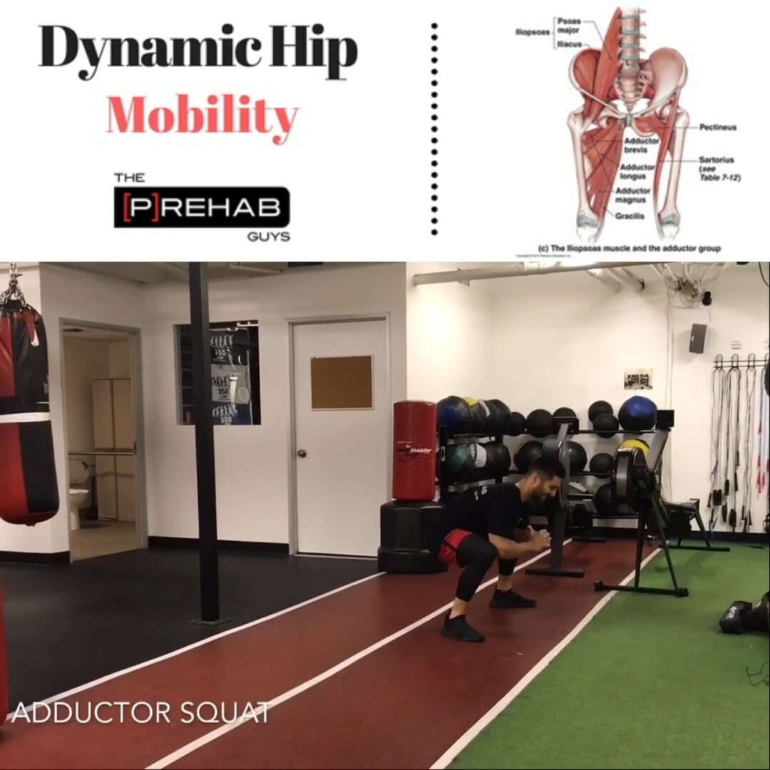 Dynamic Hip Mobility Drill - [P]rehab