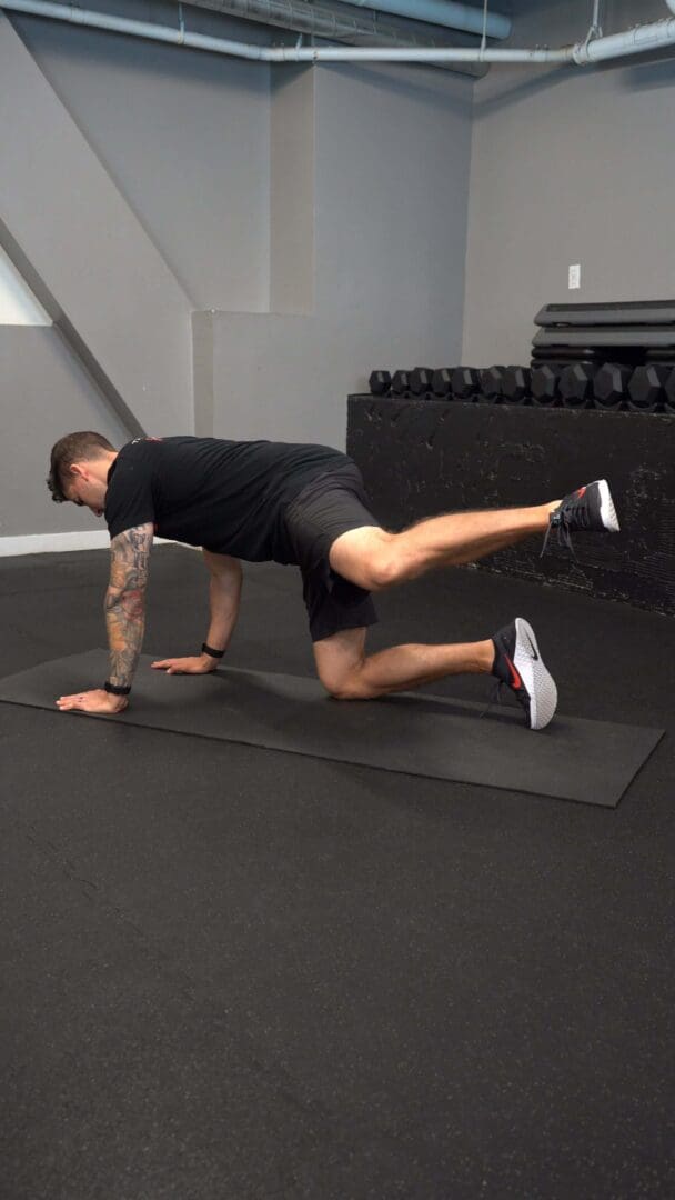 Quadruped Fire Hydrant - [P]rehab