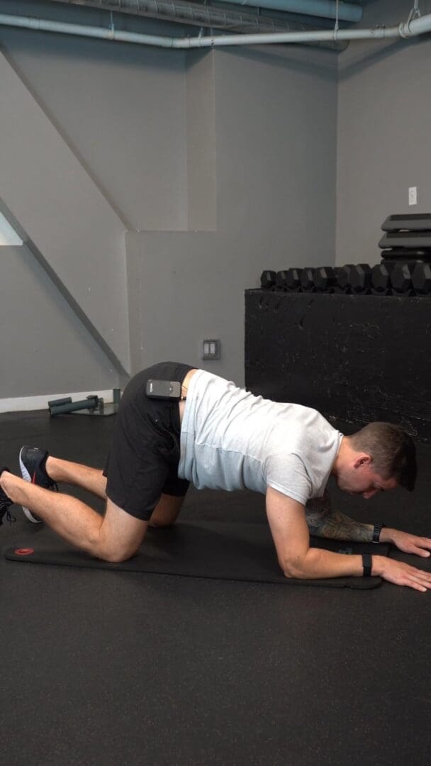 Quadruped Push Up Plus - On Forearms, Chin Tuck - [P]rehab