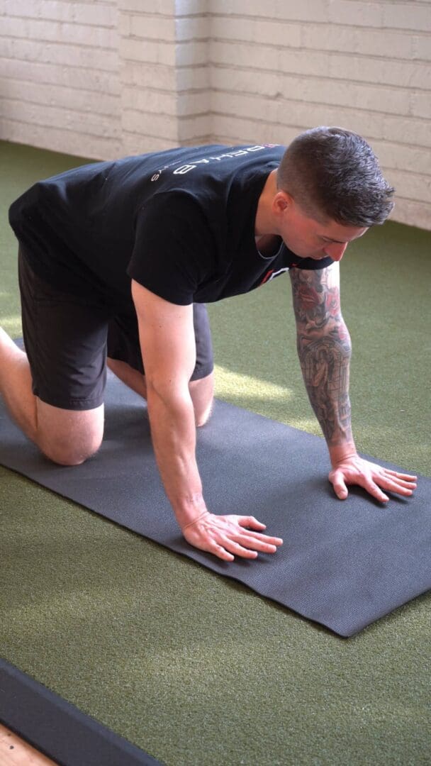 Quadruped Wrist Flexion & Extension - PROM - [P]rehab