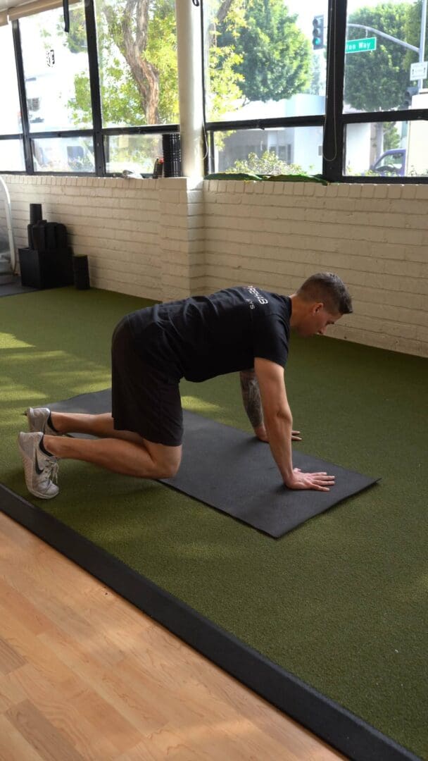 Bear Wrist Flexion & Extension - PROM - [P]rehab