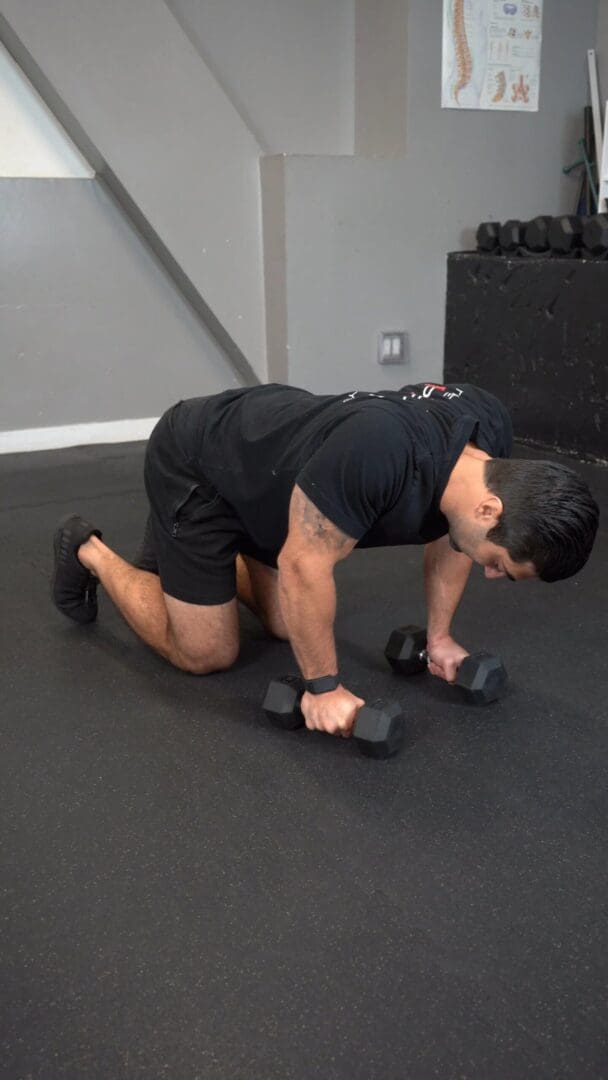 Quadruped Renegade Row - Dumbbell - [P]rehab