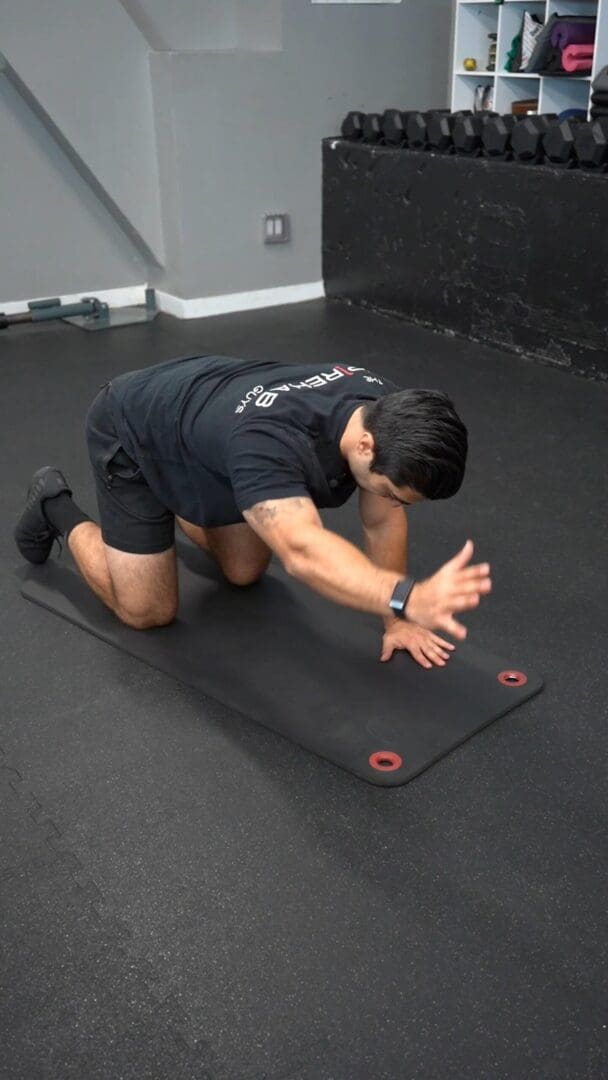 Quadruped Arm Raise - [P]rehab
