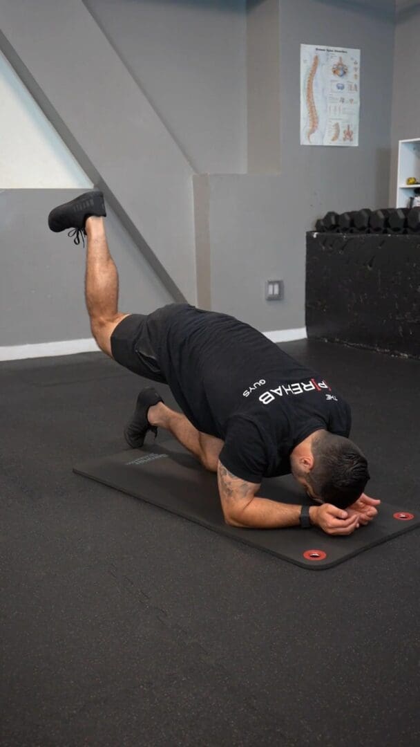 Quadruped Donkey Kick - On Elbows - [P]rehab