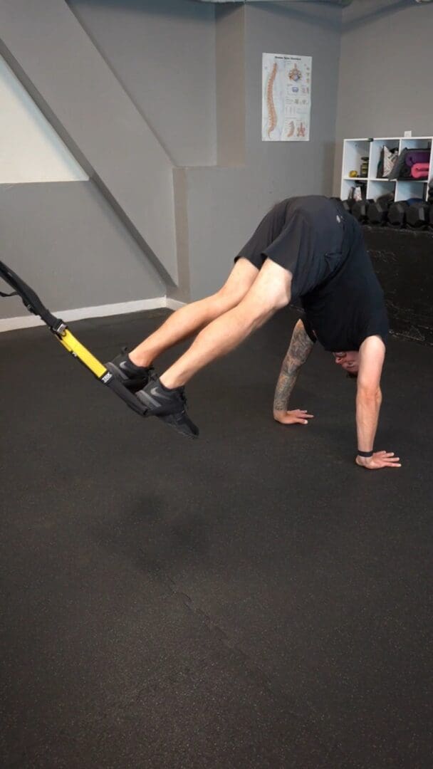 Plank Pike - TRX - [P]rehab