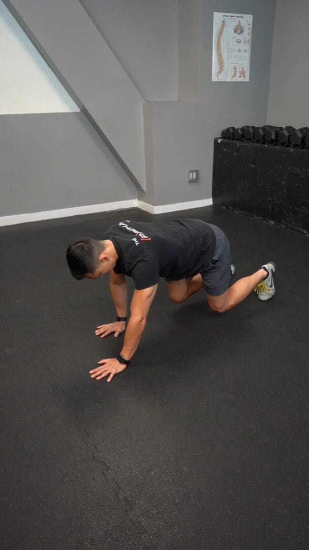 Reverse Bear Crawl - [P]rehab