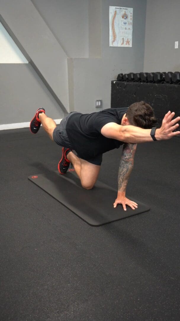 Bird Dog - Same Side - [P]rehab