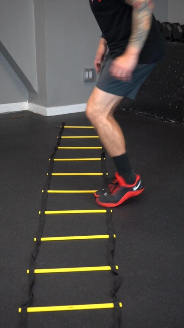 Ladder - 2 In, 2 Out - [P]rehab