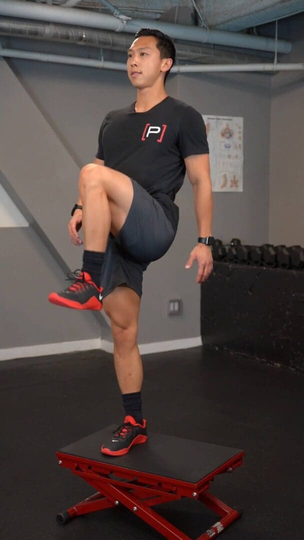 Transverse Step Up - [P]rehab