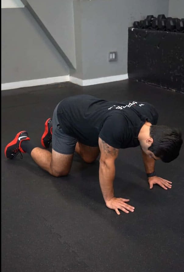 Quadruped Push Up Plus - [P]rehab