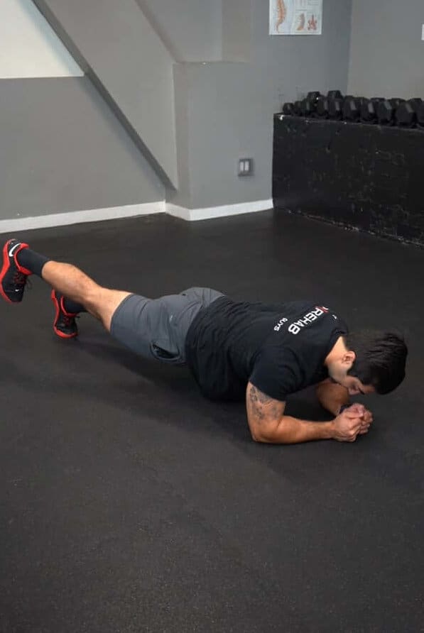Three Point Plank - Leg Raise - [P]rehab