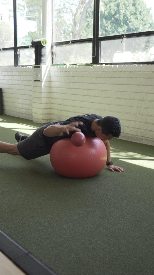 Prone Swissball 90/90 External Rotation - Plyometric - [P]rehab