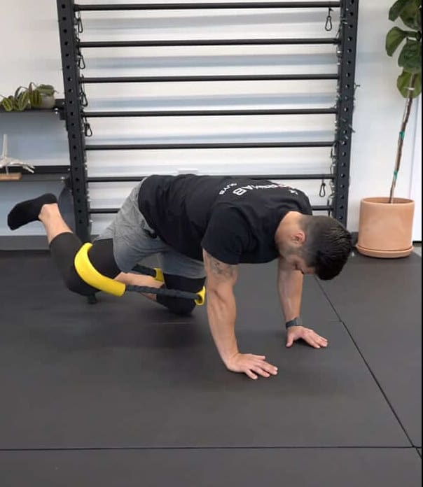 Quadruped Fire Hydrant - Band - [P]rehab