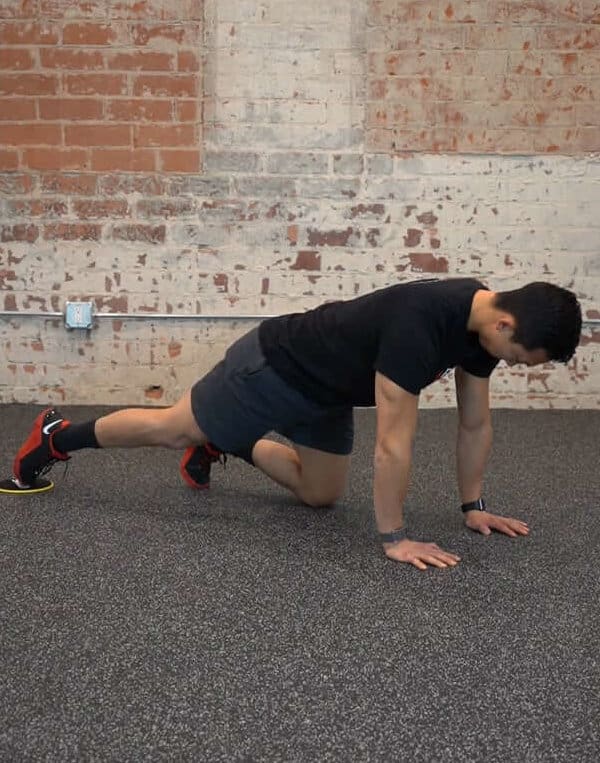 Quadruped Hip Extension - Slider - [P]rehab