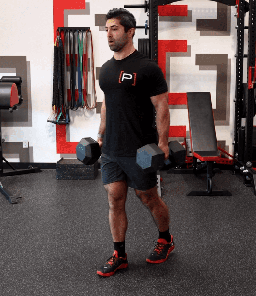 Carrying Capacity Assessment - [P]rehab