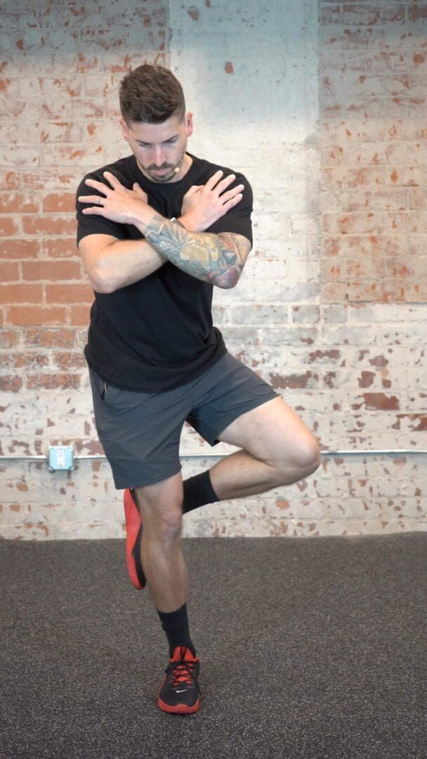 Stork Turns - [P]rehab