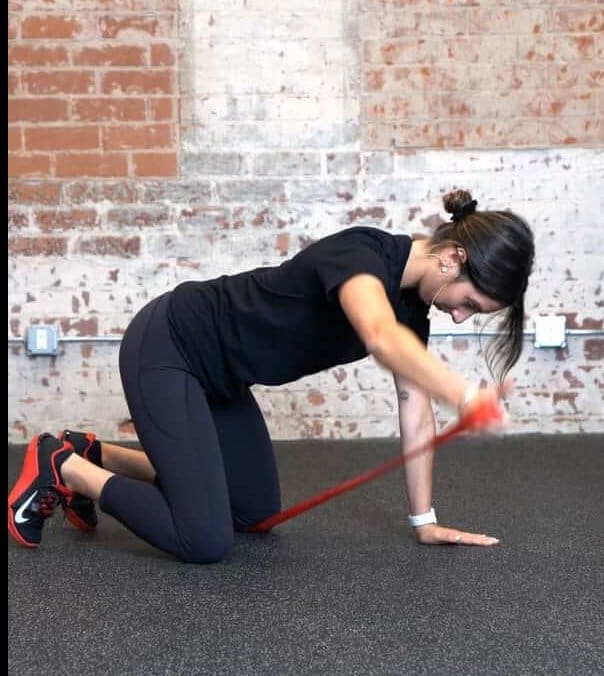 Quadruped Shoulder Ys - Band - [P]rehab