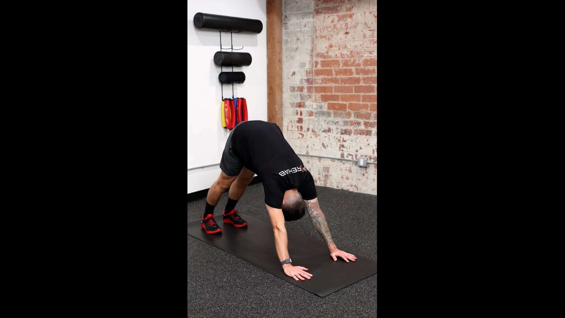 Downward Dog - Hold - [P]rehab